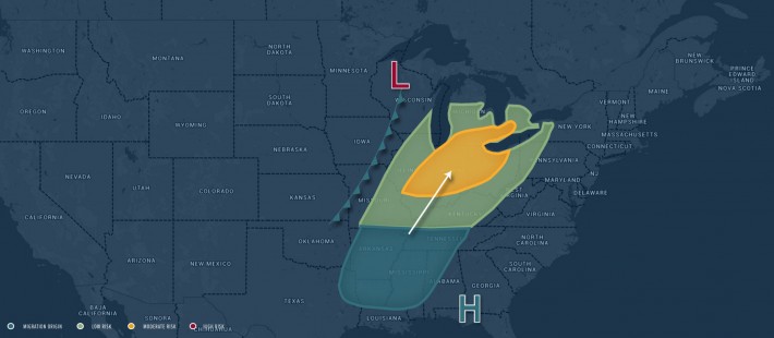 How to Read the Maps | InsectForecast