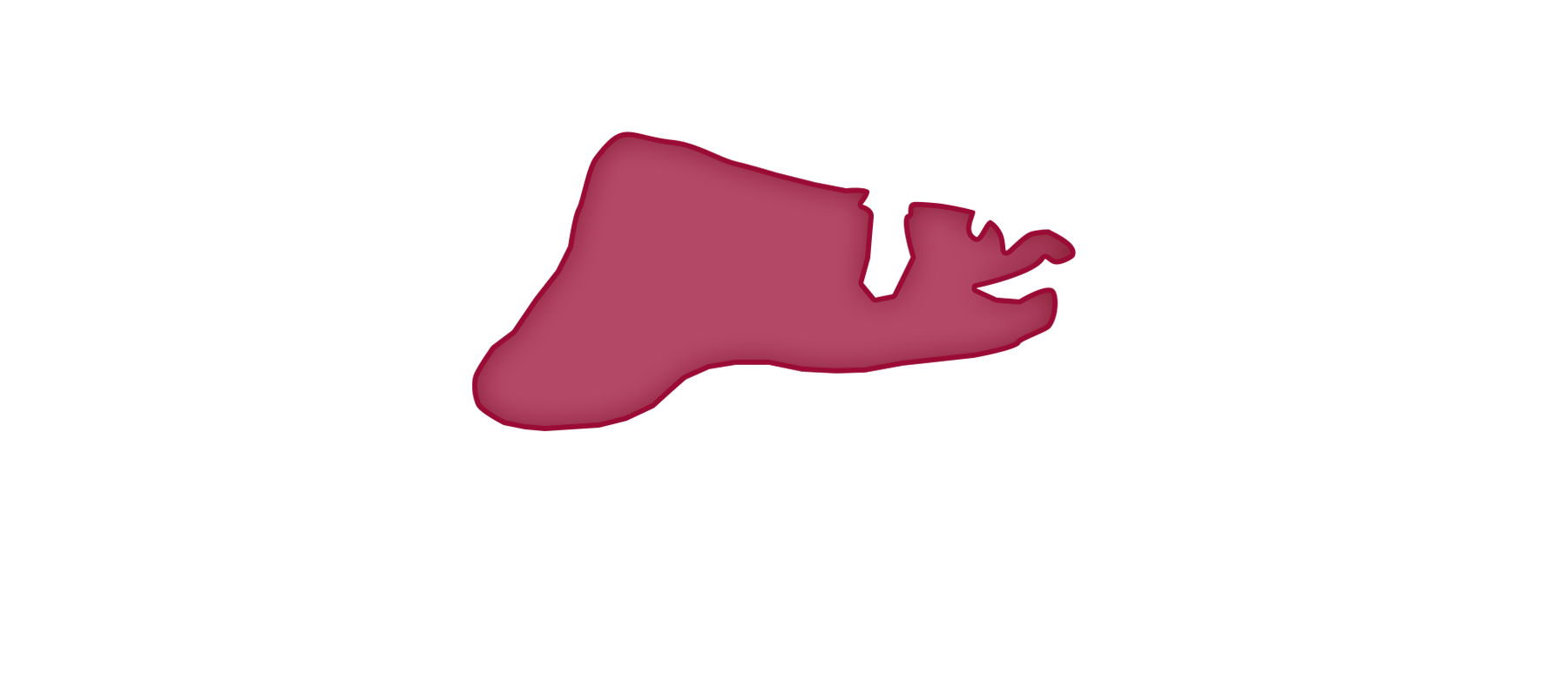 Corn Rootworm | InsectForecast